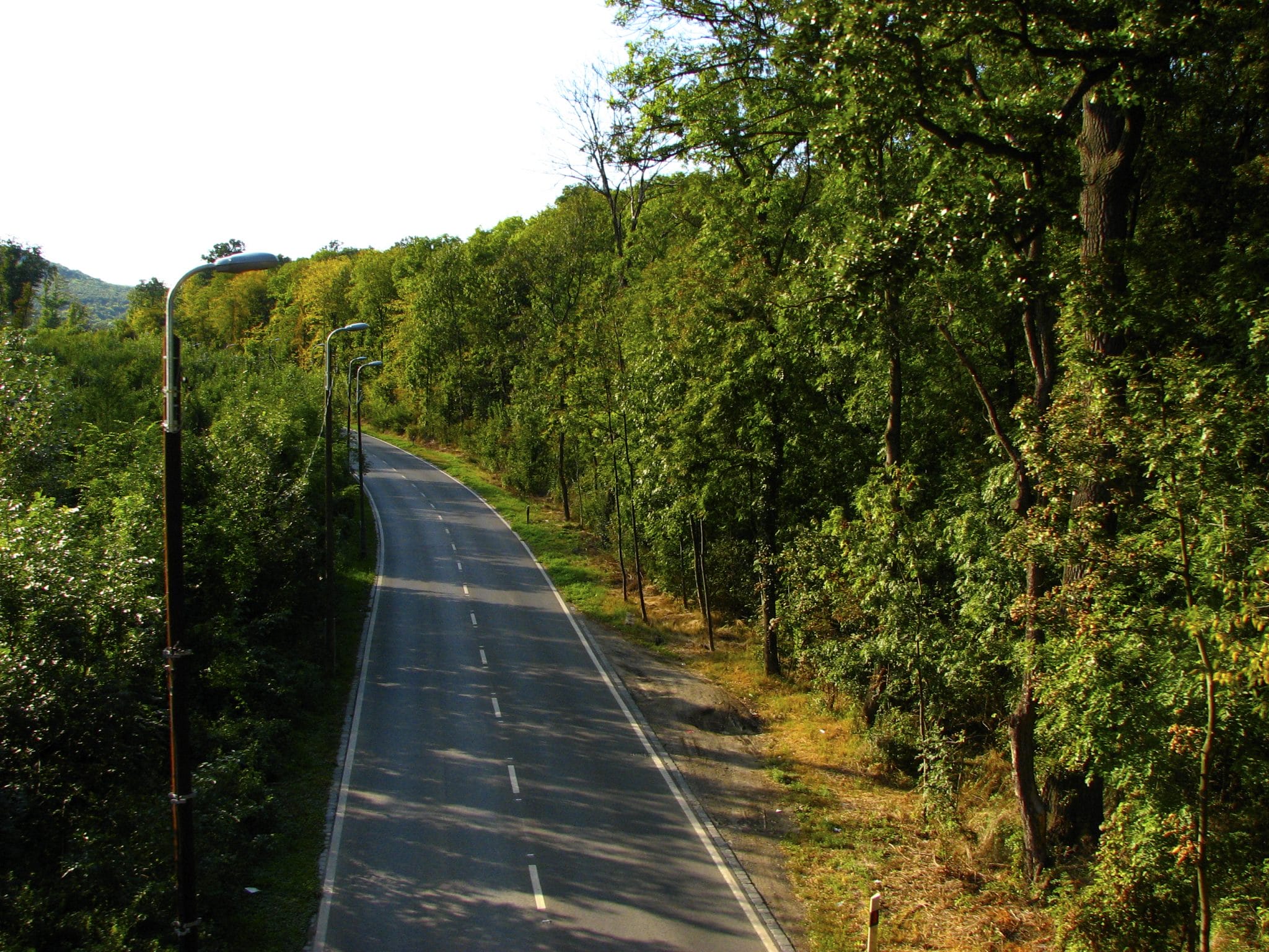 8 Essential Tips For A Long Car Drive