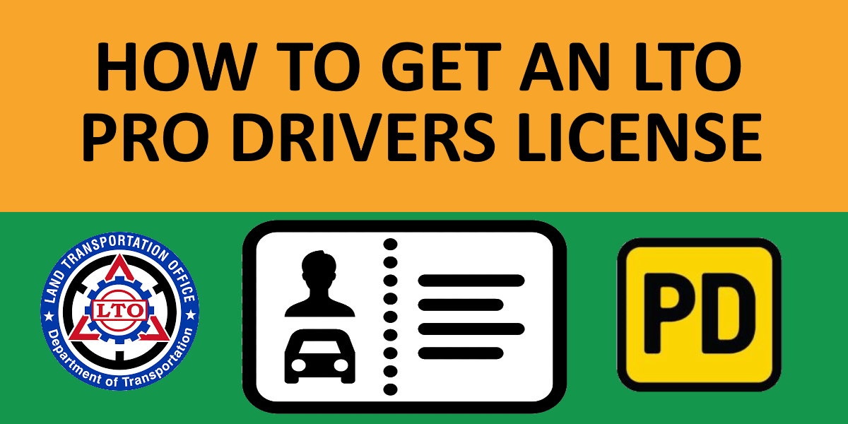 Professional Driver's License: Requirements, Steps, & Fees - 2023